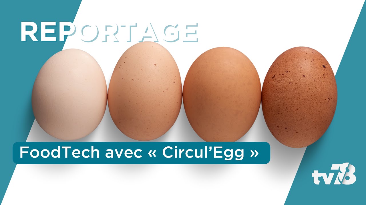 Paris-Saclay SPRING 50 - Foodtech : Circul'egg | tv78